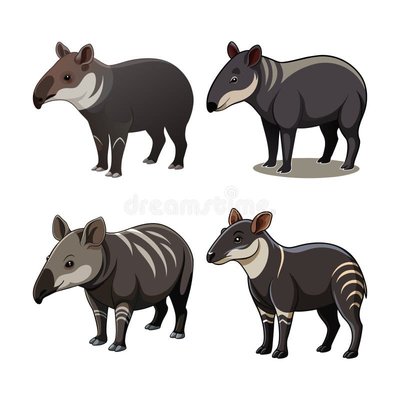 Realistic Malayan Tapir Color Illustration Stock Vector - Illustration ...