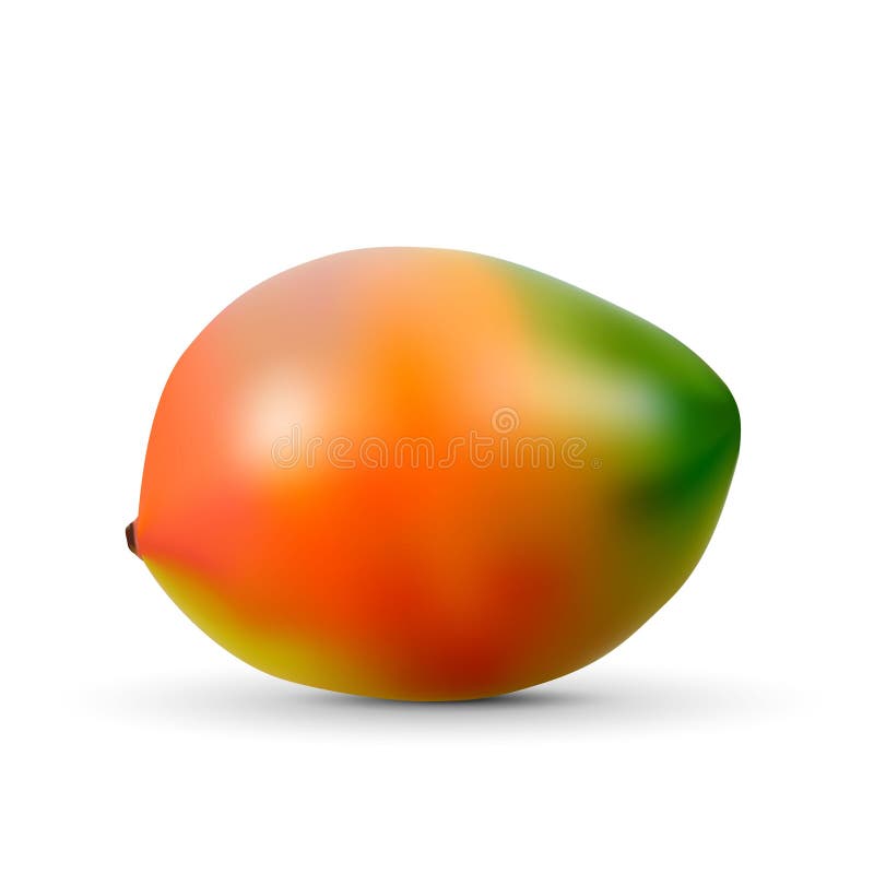 Food Label Vector Illustration Stock Vector - Illustration of serving ...