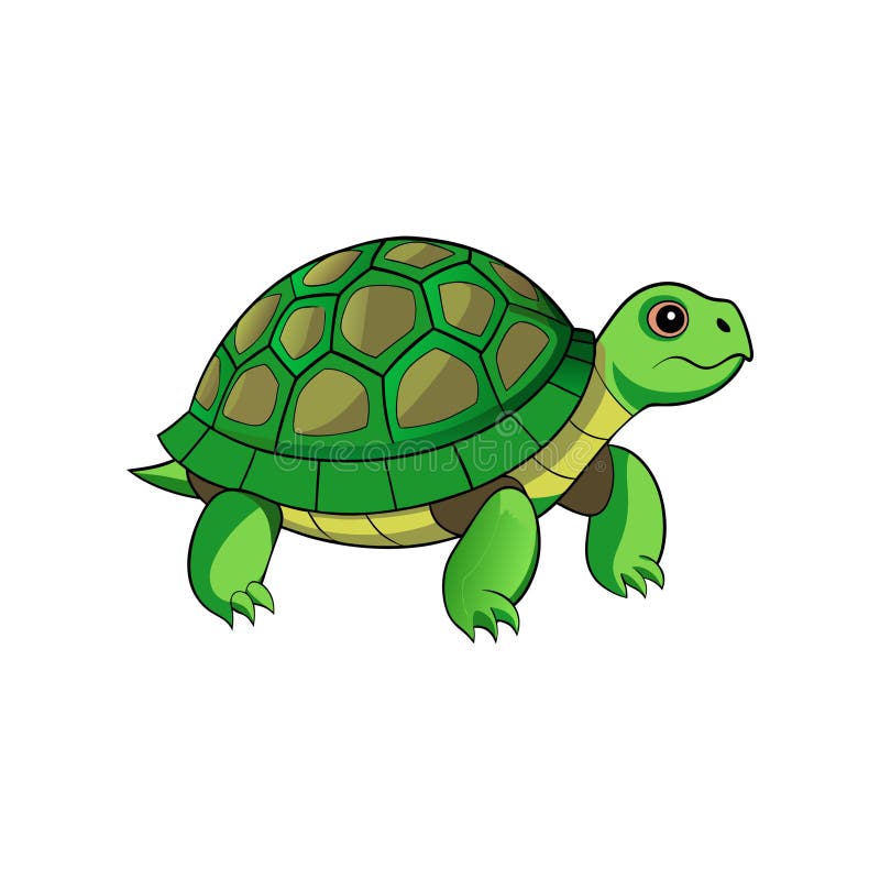 Realistic Map Turtle among Water Plants Stock Illustration ...