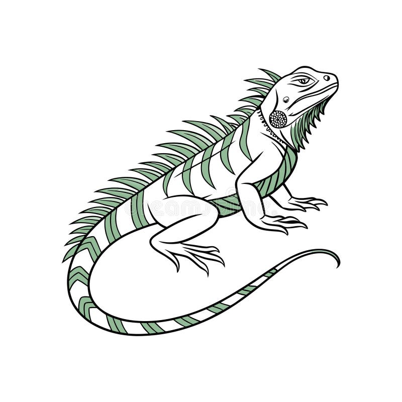 Realistic Mexican Spiny-Tailed Iguana among Rocks Stock Illustration ...
