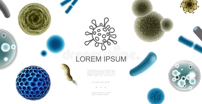 Realistic Microscopic Organisms Concept Stock Vector - Illustration of ...