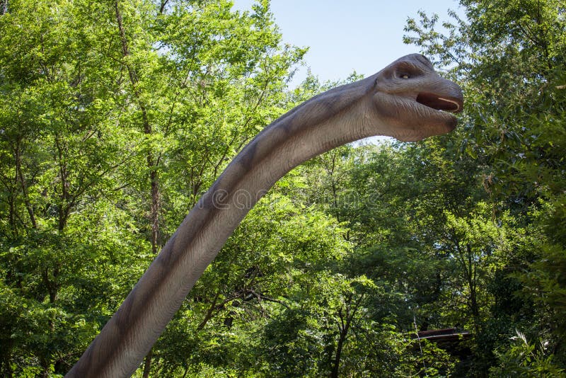 Realistic Model of Dinosaur Stock Image - Image of brachiosaurus ...