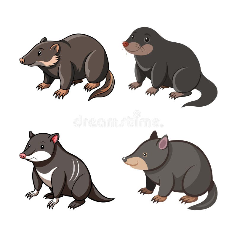 Realistic Mole Color Illustration Stock Vector - Illustration of wild ...