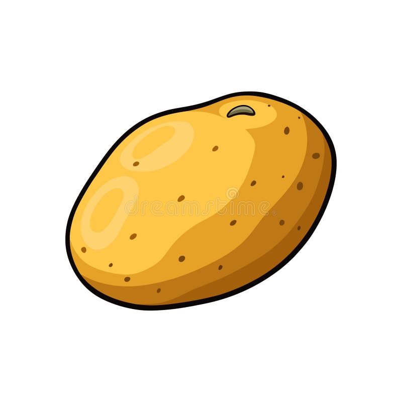 Realistic New Potato Illustration with Unique Texture Stock ...