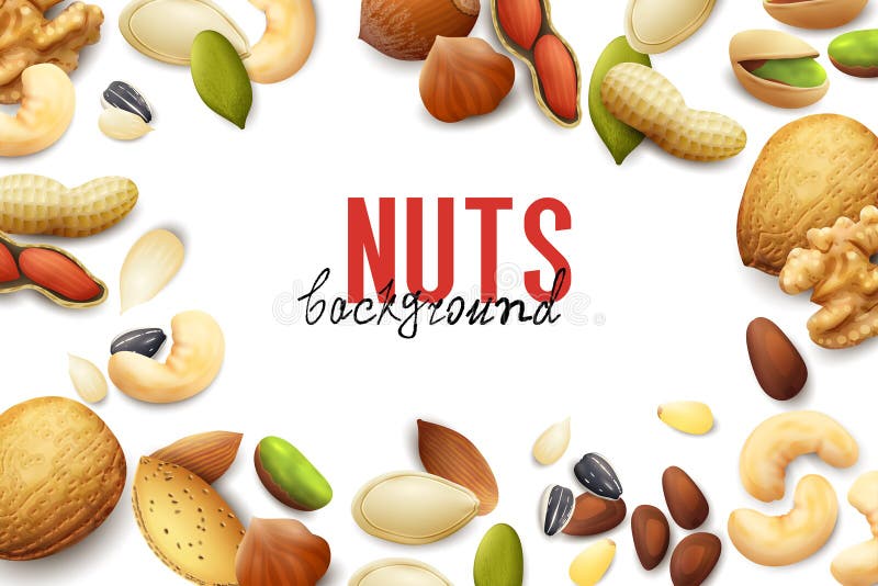 Nuts Realistic Set stock vector. Illustration of almond - 54315771