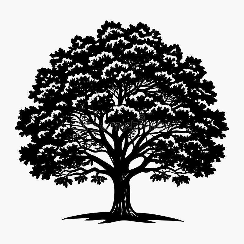 Realistic Oak Tree Illustration Silhouette Stock Vector - Illustration ...
