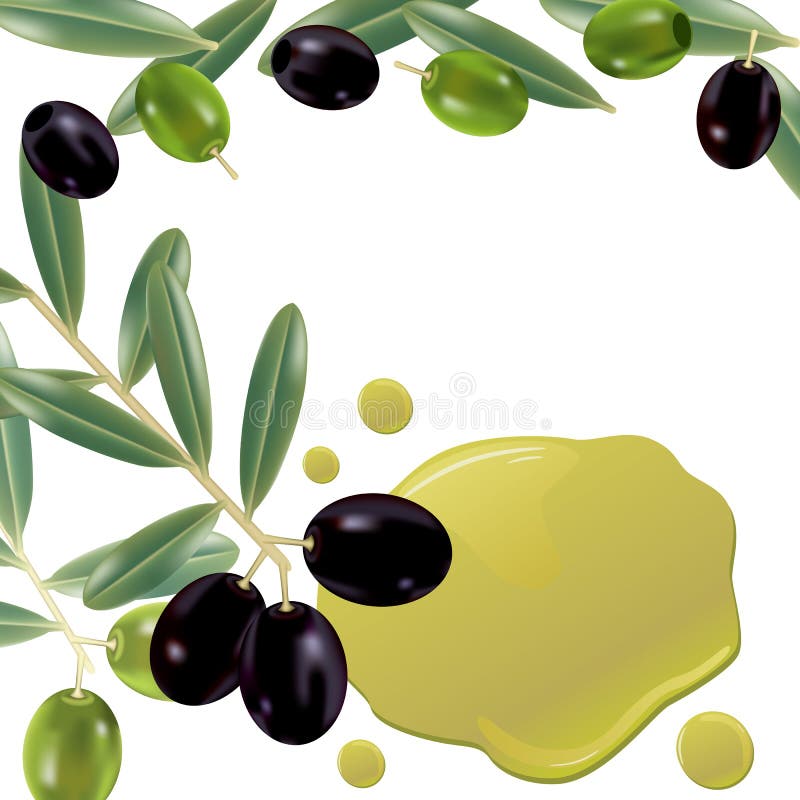Realistic Olive Oil Background Stock Vector - Illustration of ecology ...