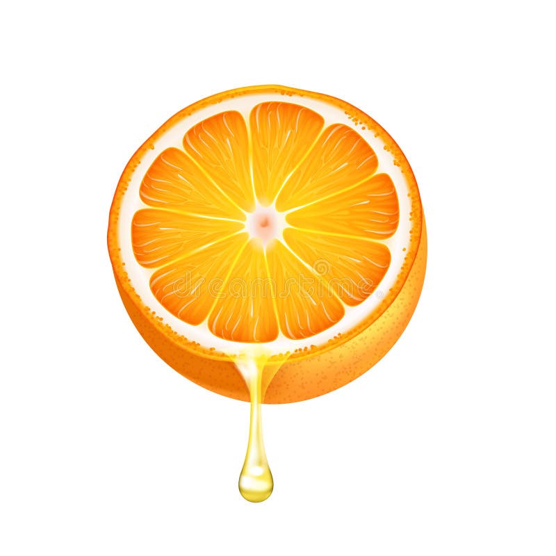 Realistic Orange Illustration Stock Vector - Illustration of element ...