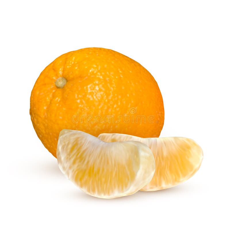Realistic Orange Isolated on White Background. Fresh Orange Fruit ...
