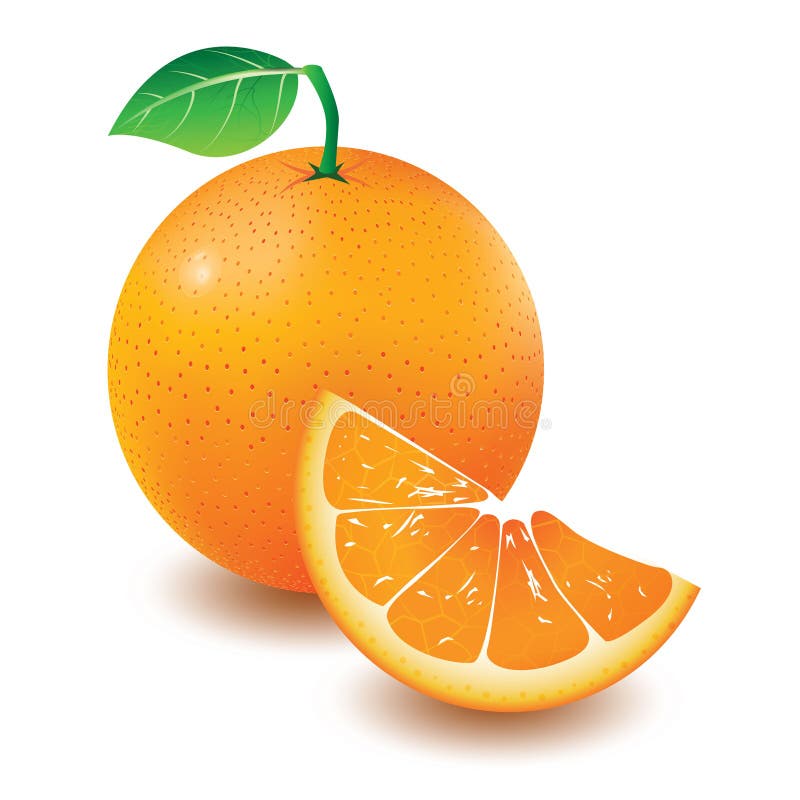 Realistic orange stock illustration. Illustration of healthy - 44779183