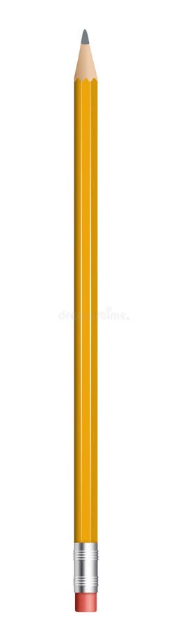 Realistic pencil vector stock vector. Illustration of teacher - 149980128