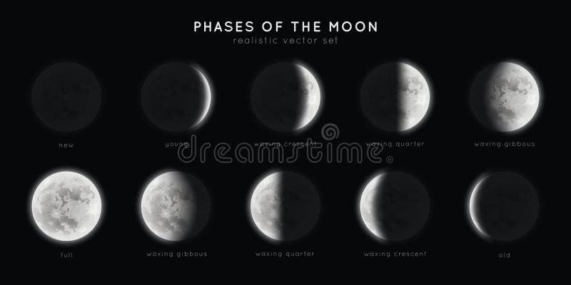 Realistic Phases of the Moon. Stock Vector - Illustration of dark ...