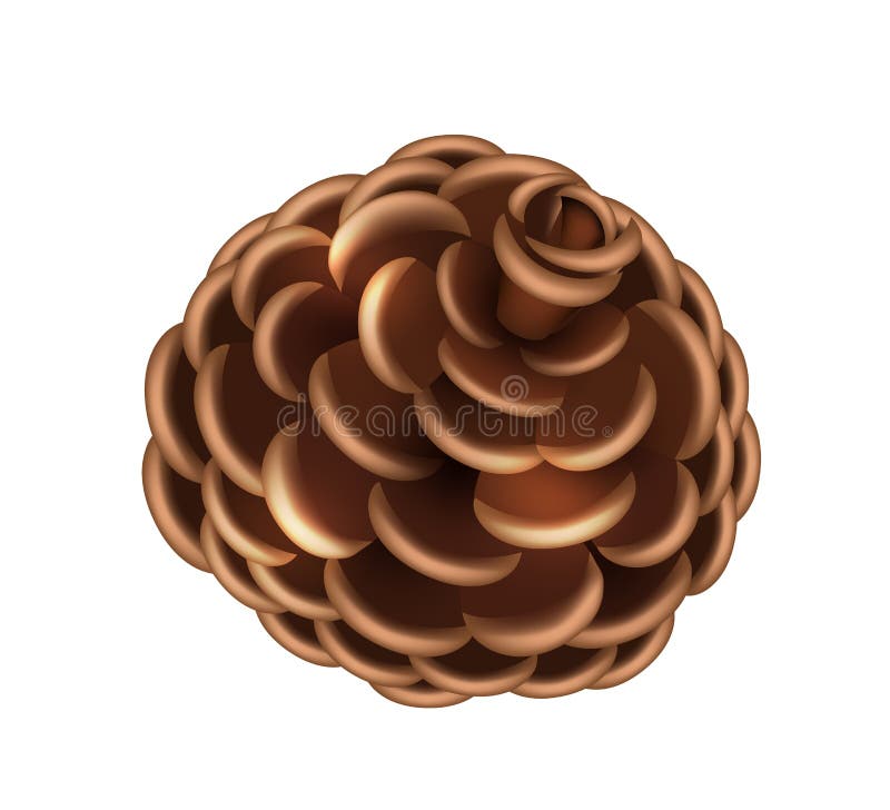 Realistic Pine Cone. Christmas and New Year Decor Symbol. Spruce Tree ... Realistic Pine Cone. Christmas and New Year Decor Symbol. Spruce Tree ...