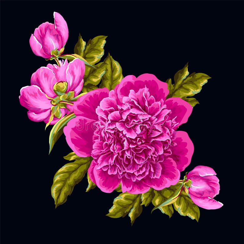 Realistic Pink Peony Isolated. Vector. Stock Vector - Illustration of ...