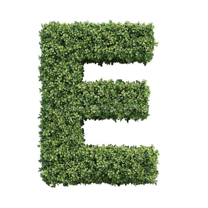 Realistic Plant Leaves Bush Alphabet Letter E Isolated on Transparent ...