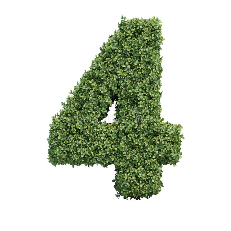 Realistic Plant Leaves Bush Number 4 Four Isolated on Transparent ...