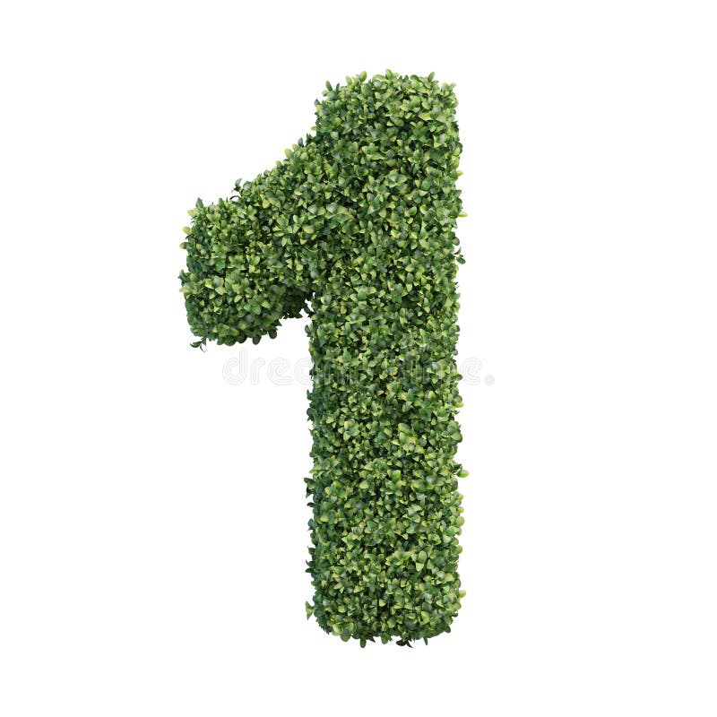 Realistic Plant Leaves Bush Number 1 One Isolated on Transparent ...