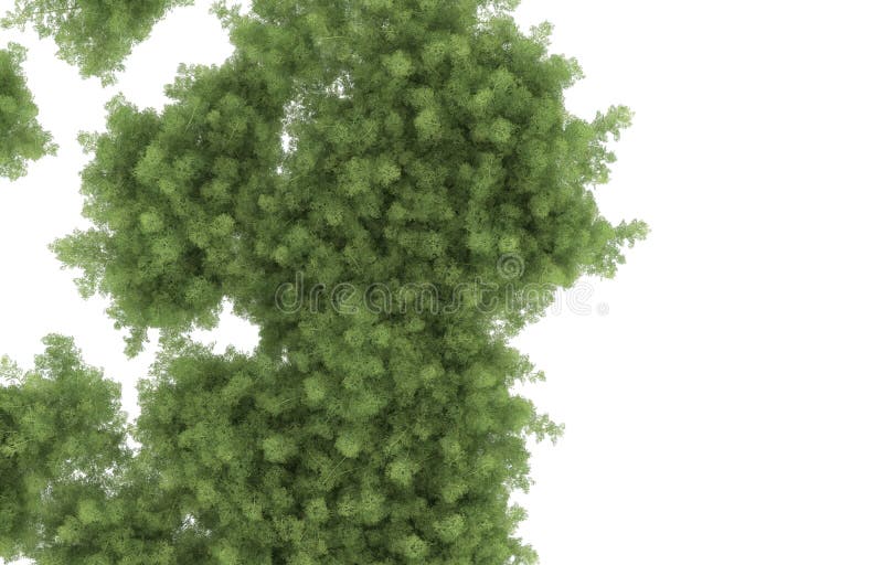 Realistic Plants Isolated on Background. 3d Rendering - Illustration ...