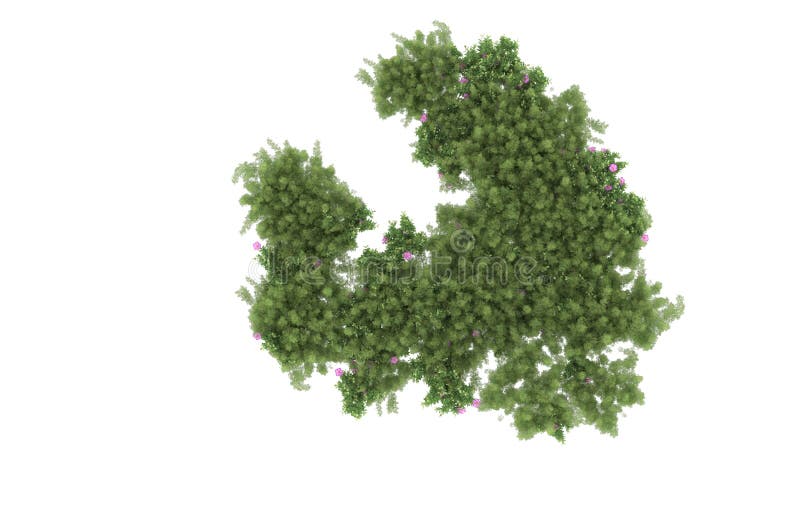 Realistic Plants Isolated on Background. 3d Rendering - Illustration ...