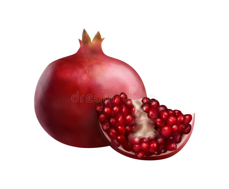 Realistic Pomegranate Illustration Stock Vector - Illustration of tasty ... Realistic Pomegranate Illustration Stock Vector - Illustration of tasty ...