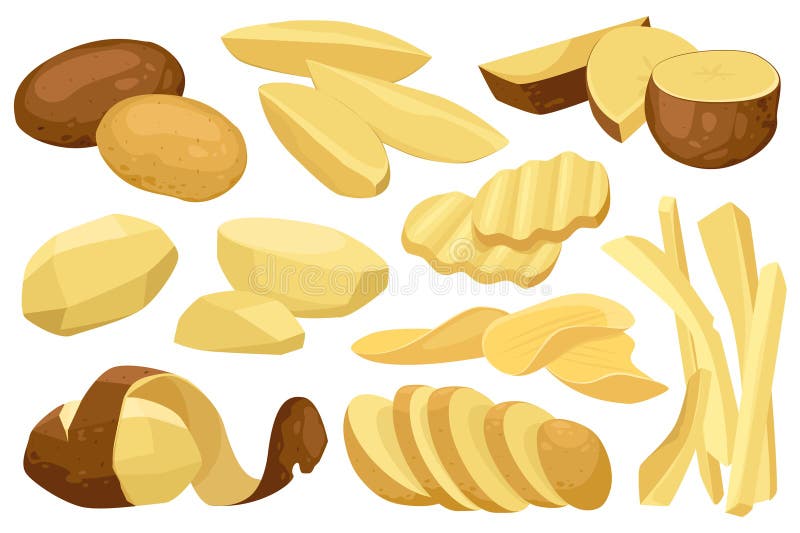 Realistic Potato Vector Set Stock Vector - Illustration of sticker ...