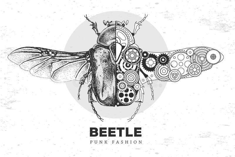 Realistic and Punk Style Beetle Illustration. Beetle Silhouette with ...