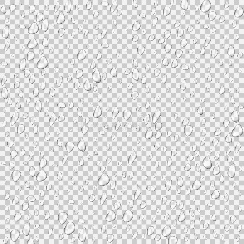 Realistic Pure Transparent Water Drop with Shadow on Gray Background ... Realistic Pure Transparent Water Drop with Shadow on Gray Background ...