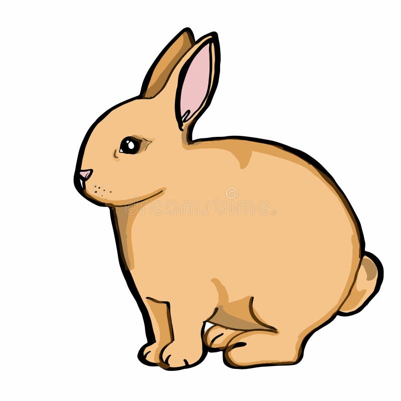 Realistic rabbit drawing stock vector. Illustration of painting - 100642217