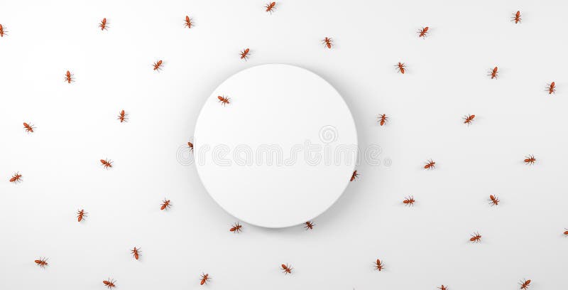 Realistic Red Ants Walking on White Floor and Empty Circle Space Stock ...