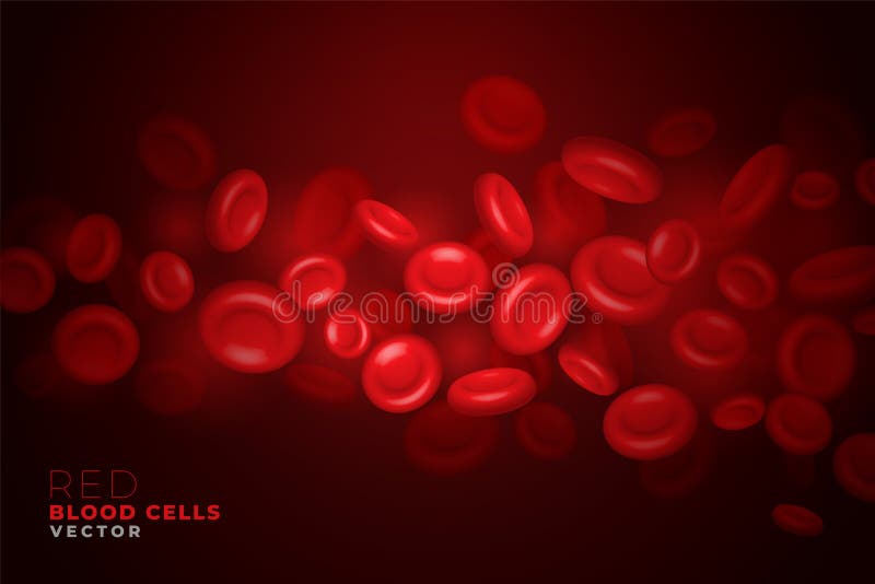 Red Blood Cells Rbc Background Stock Vector - Illustration of heart ...