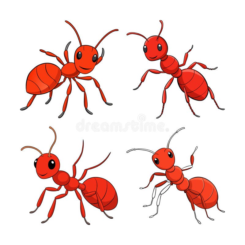 Realistic Red Imported Fire Ant Colorful Illustration Stock Vector ...