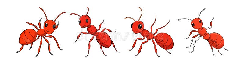Realistic Red Imported Fire Ant Colorful Illustration Stock ...
