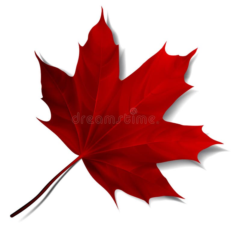 Red Maple Leaf Stock Illustrations – 131,031 Red Maple Leaf Stock ...