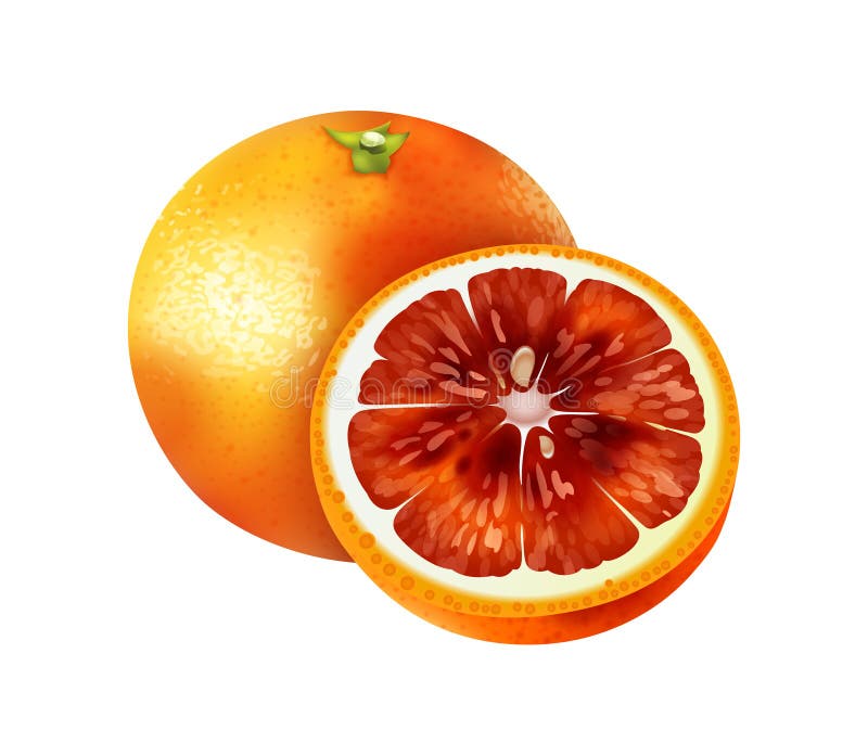 Realistic Red Orange stock illustration. Illustration of food - 267091640