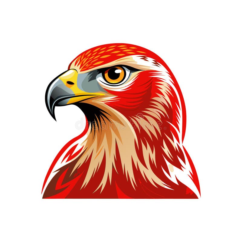 Realistic Red-Shouldered Hawk Bird Illustration Stock Illustration ...