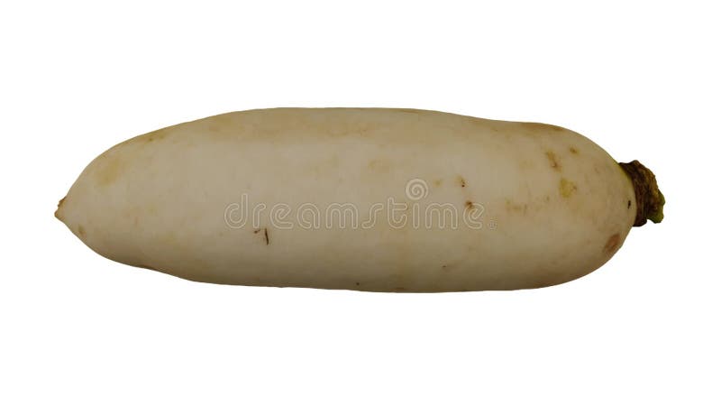 Long Radish Color Icon Animation Stock Video - Video of leaf, long ...