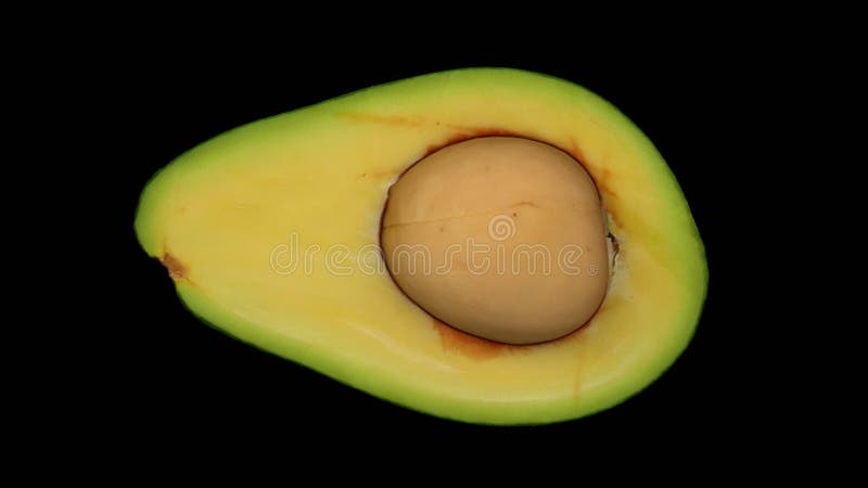 Rotating Green Avocado on Transparent Background 04B Looping with Alpha ...