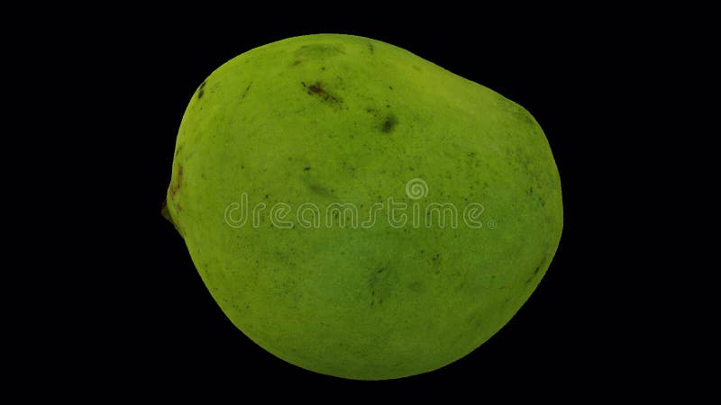 Rotating Green Mango on Transparent Background 01C Looping with Alpha ...
