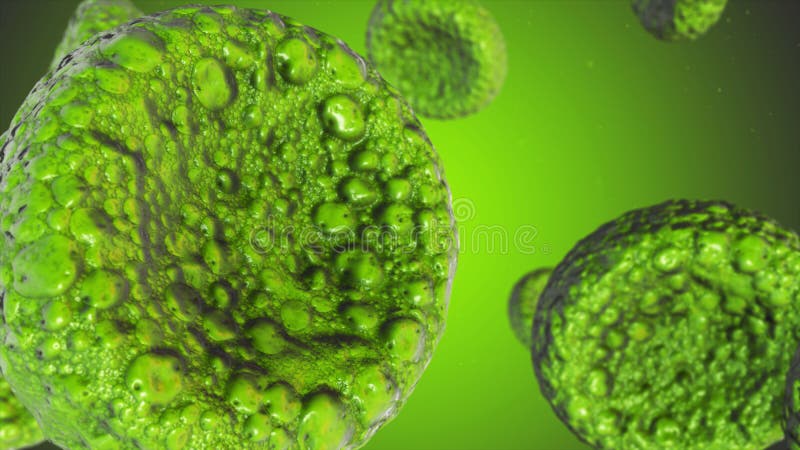 Realistic Rendering of Bacteria - in Green Colors Stock Illustration ...
