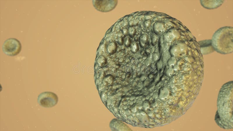 Realistic Rendering of Bacteria Stock Illustration - Illustration of ...