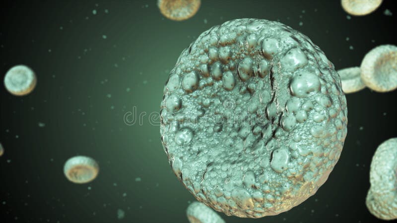 Realistic Rendering of Bacteria Stock Illustration - Illustration of ...
