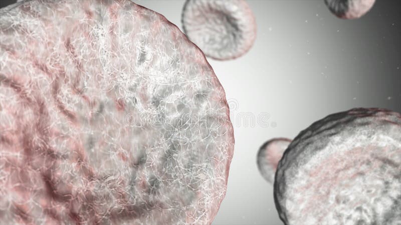 Realistic Rendering of Bacteria - in White Colors Stock Illustration ...