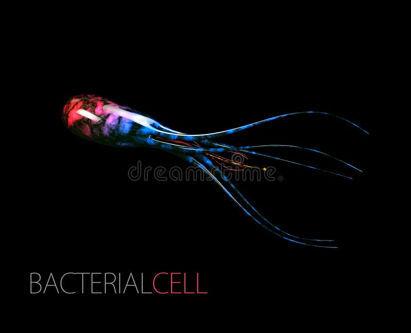 Realistic Rendering of Blue Bacteria, 3d Illustration Isolated Black ...