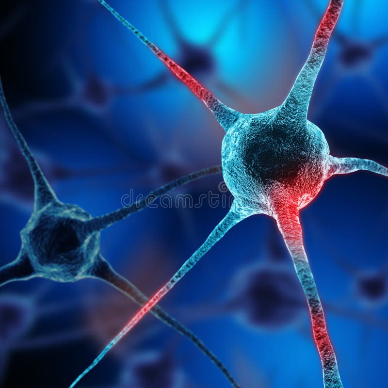 Realistic Rendering of Neurone - on the Blue Background Stock ...