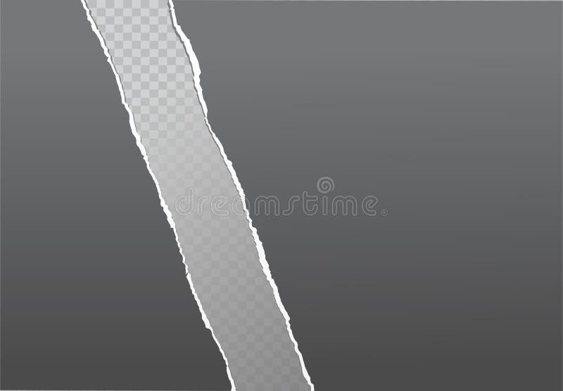 Realistic Ripped White Paper Sheets Isolated on Transparent Background ...