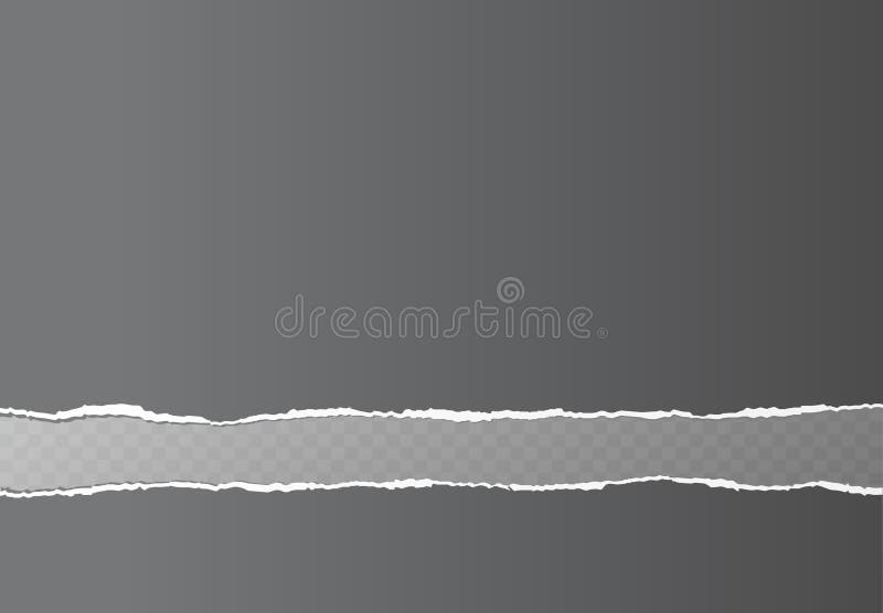 Realistic Ripped White Paper Sheets Isolated on Transparent Background ...