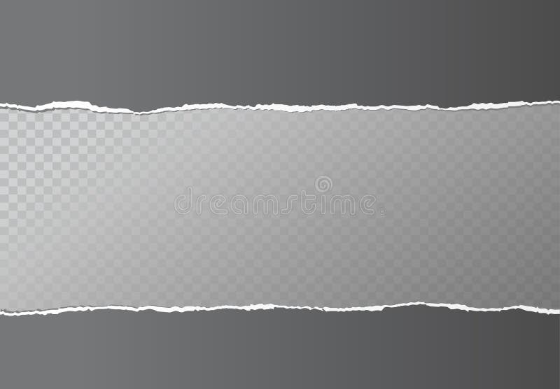 Realistic Ripped White Paper Sheets Isolated on Transparent Background ...