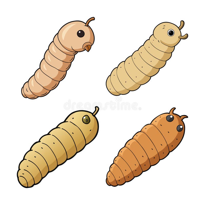 Realistic Root Maggot Animal Stock Illustrations – 12 Realistic Root ...