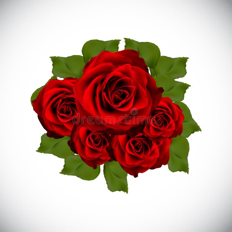 Realistic Rose High Quality Vector Illustration Stock Vector ...