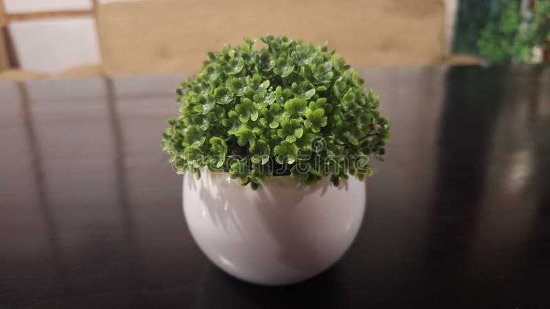 Realistic Round-shaped Artificial Greeny. Lifelike Plastic Plant Stock ...